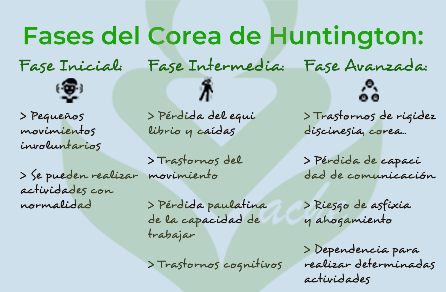 Fases de la Enfermedad de Huntington.